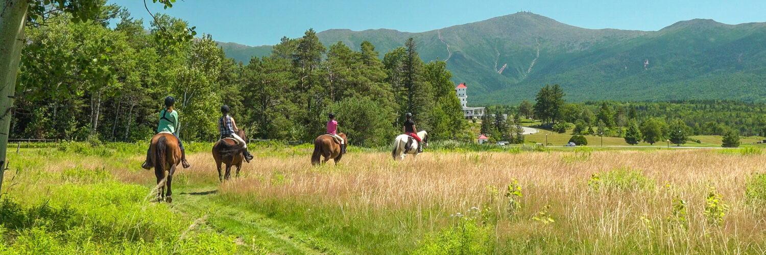 Horseback Riding - Ski NH